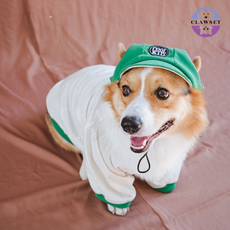 Clawset - Pet Accessories - Cool Kid (Pet Hat) - Green (Green ...